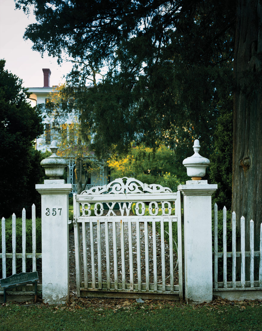 Boxwood: An Antebellum Garden – Garden & Gun