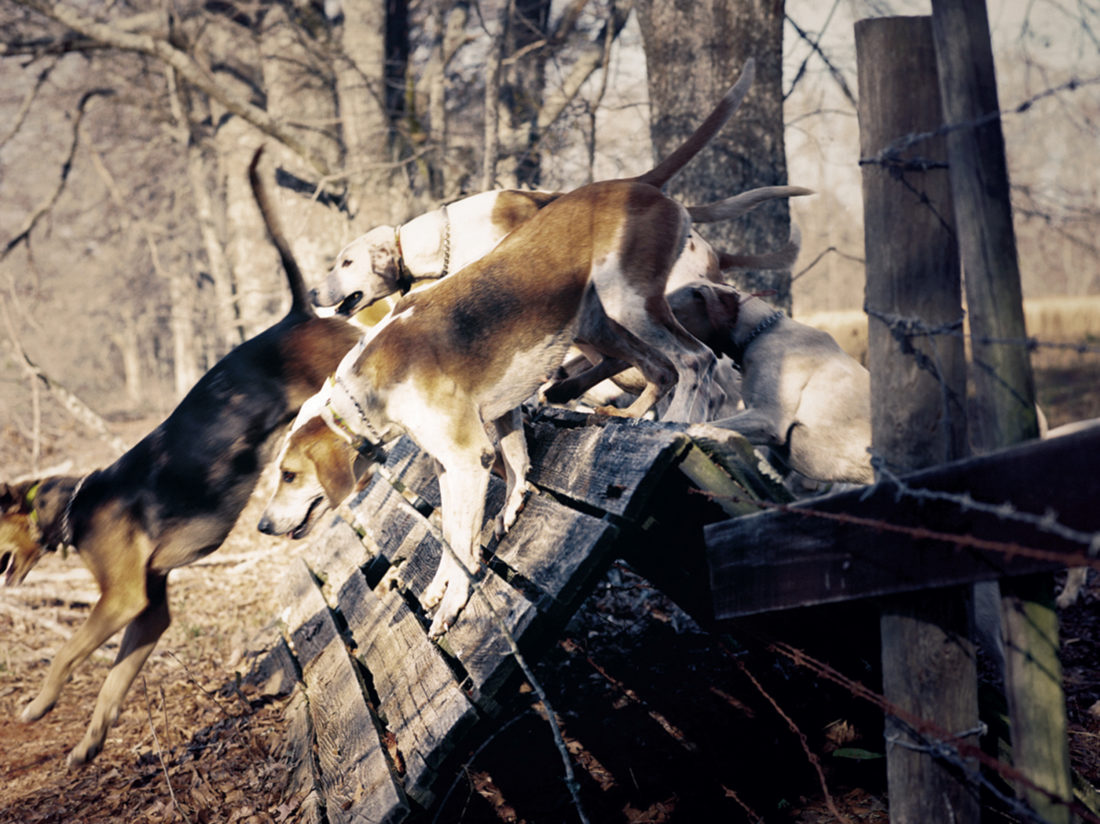 In Full Pursuit – Garden & Gun