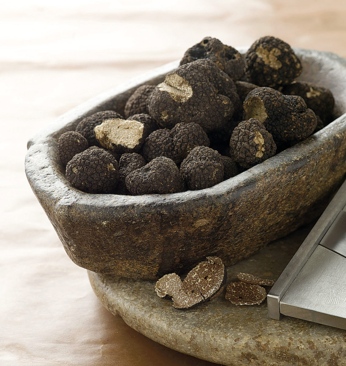 Gold Diggers – Garden & Gun