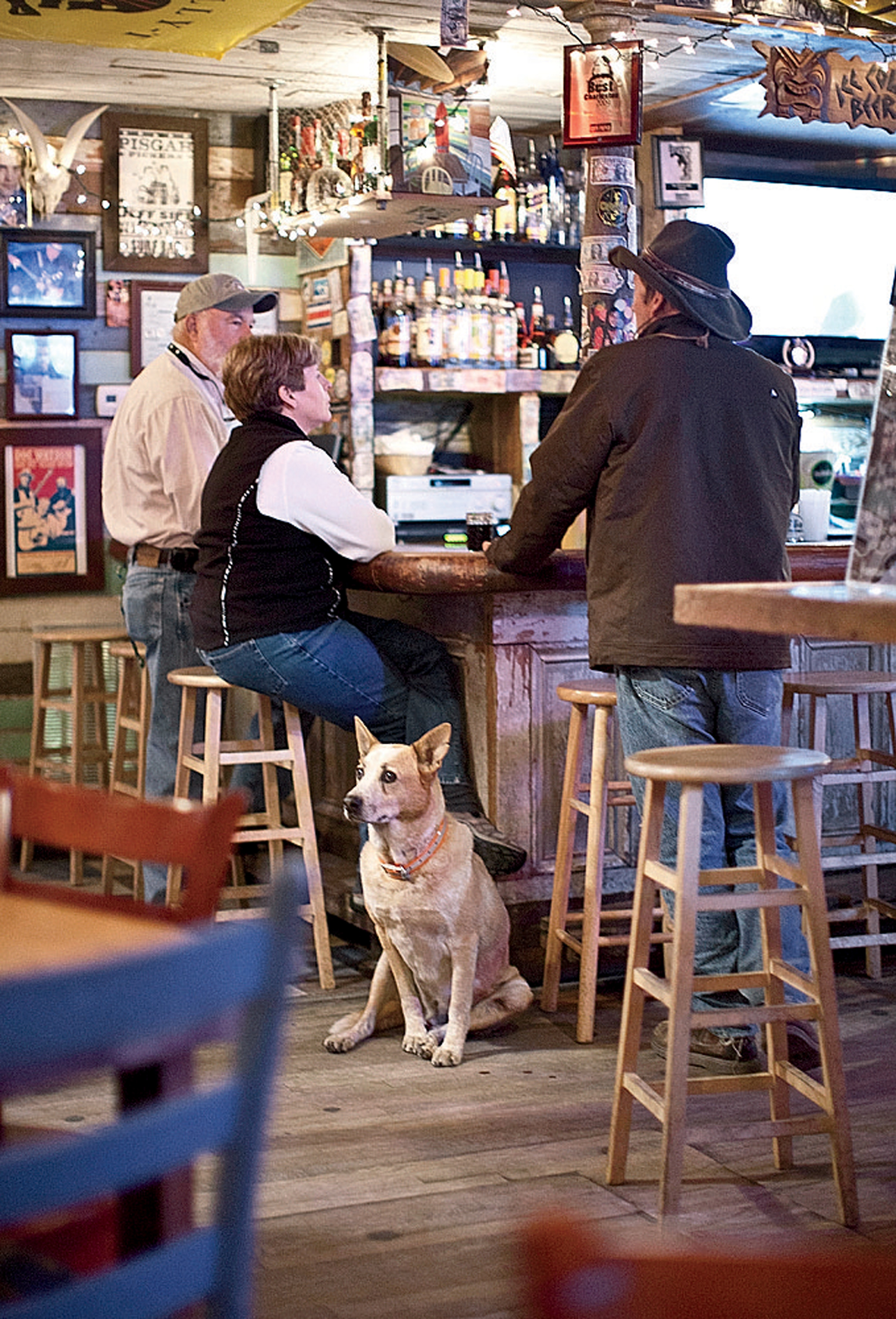 50 Best Southern Bars – Garden & Gun