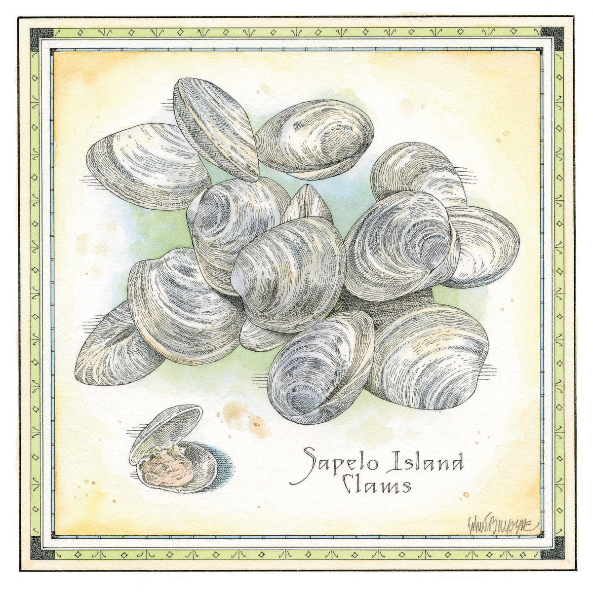 What's in Season: Georgia Clams – Garden & Gun