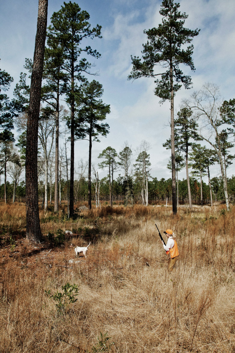 Tall Timbers: In Search of the Wild Flush – Garden & Gun