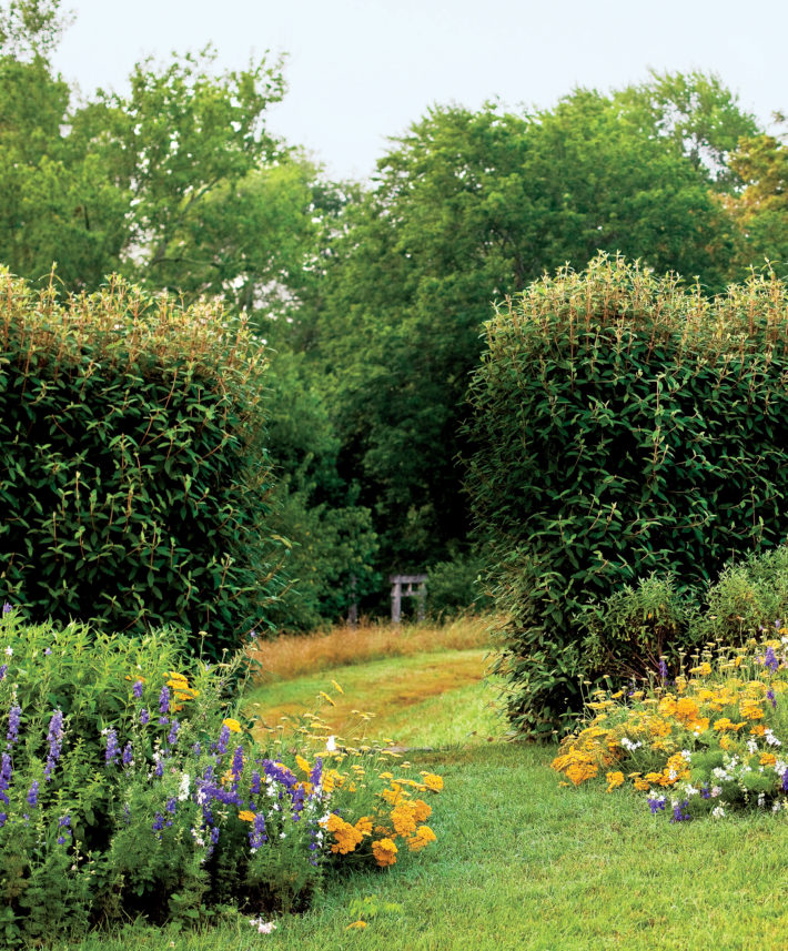 Thomas Woltz: Wild By Design – Garden & Gun