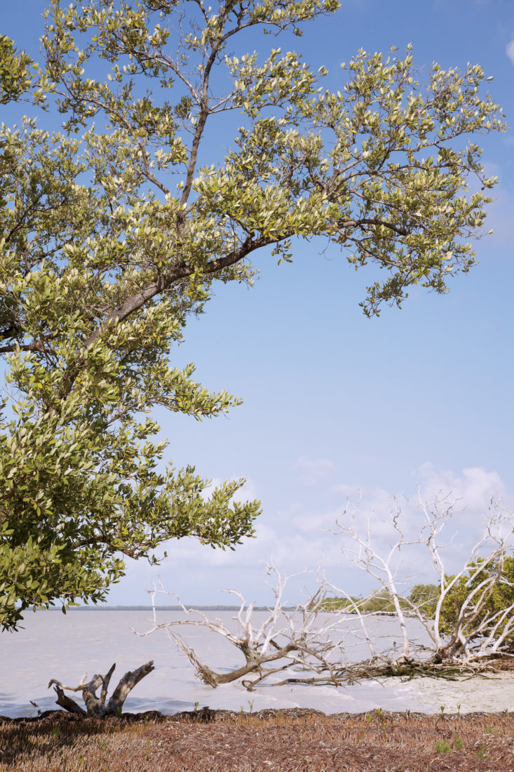 Winter Adventure in the Everglades – Garden & Gun