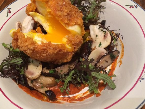 Garden & Gun | Official Website of Garden & Gun Magazine