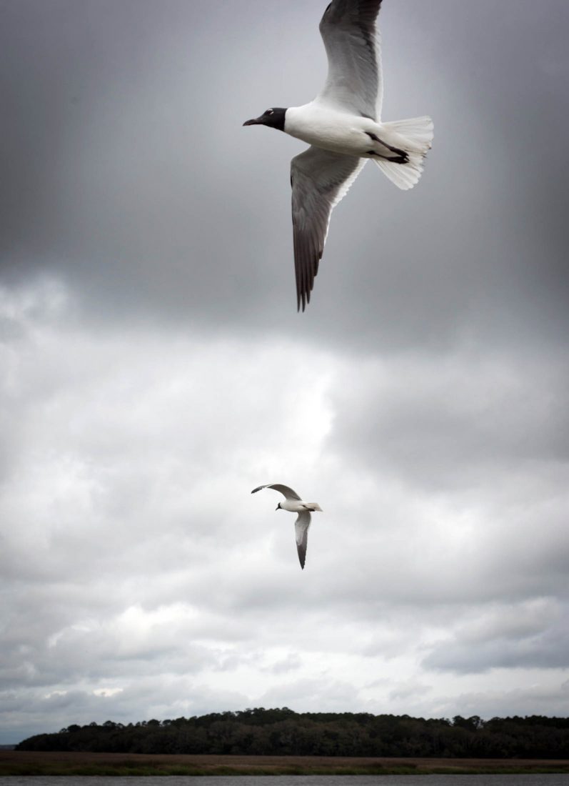 The Heart of Sapelo – Garden & Gun