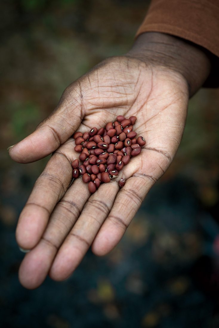 The Heart of Sapelo – Garden & Gun