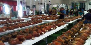 Keeping Country Ham Tradition Alive in Kentucky – Garden & Gun