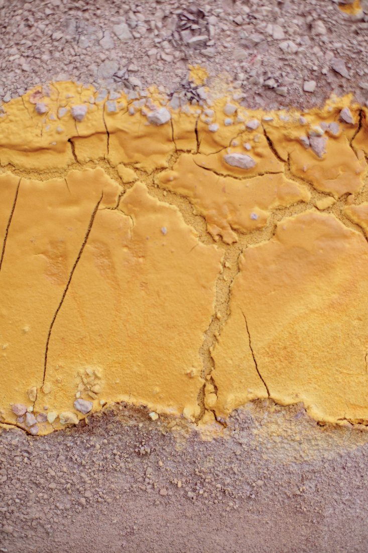 Margaret Boozer's Earth Works – Garden & Gun