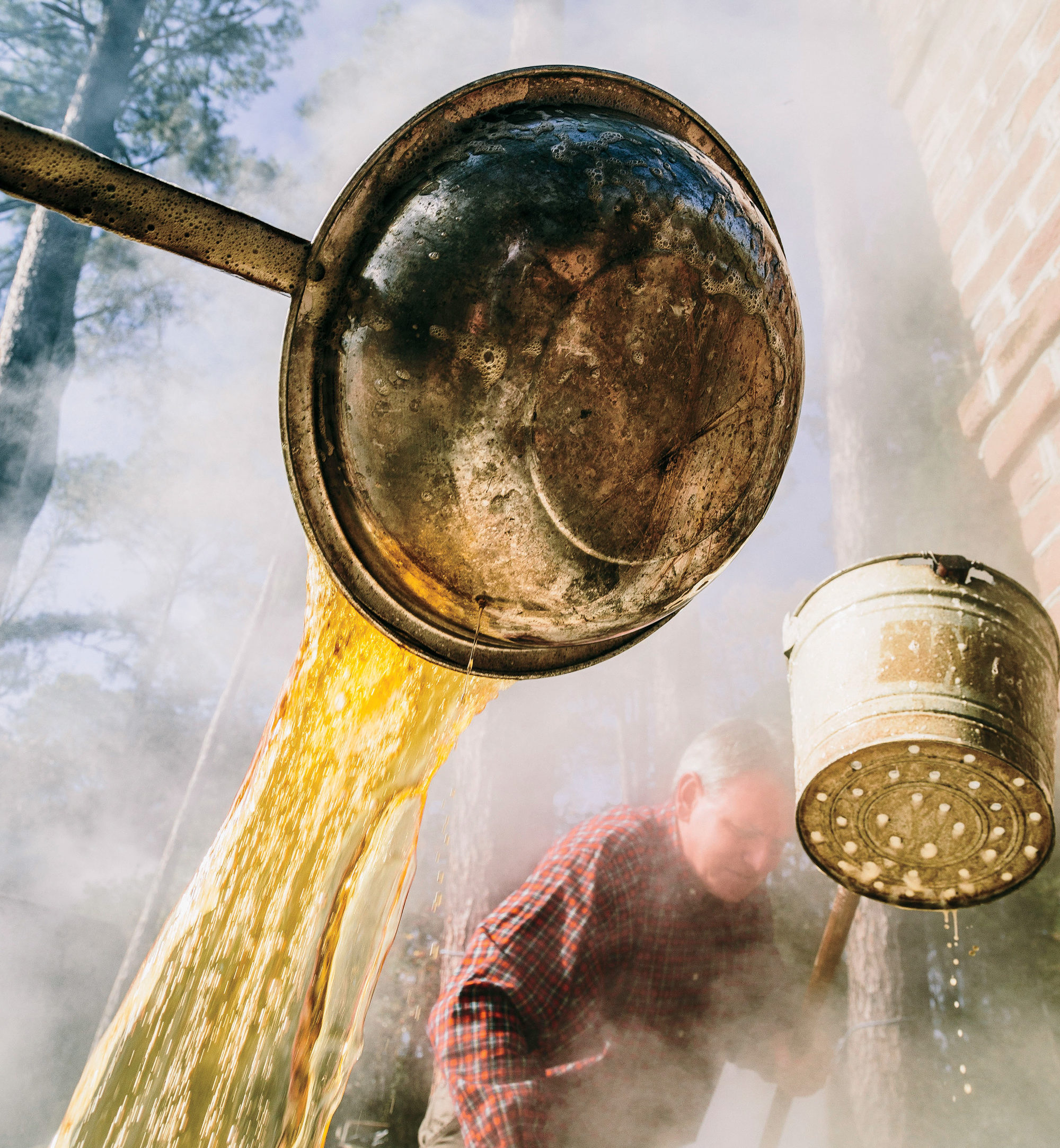 Cane Syrup: The Forgotten Harvest – Garden & Gun