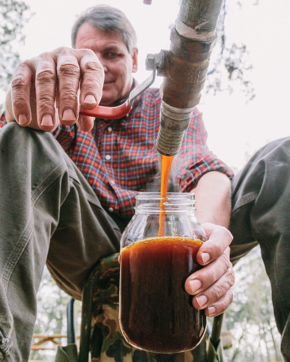 Cane Syrup: The Forgotten Harvest – Garden & Gun