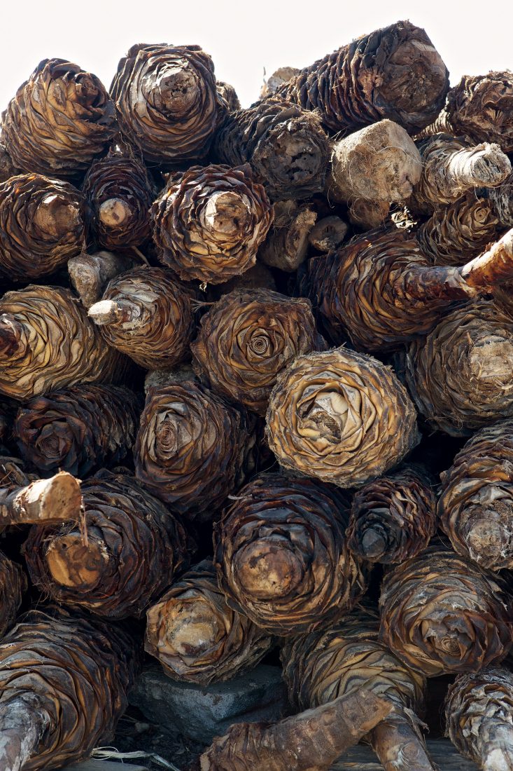 Mezcal's Old Soul – Garden & Gun