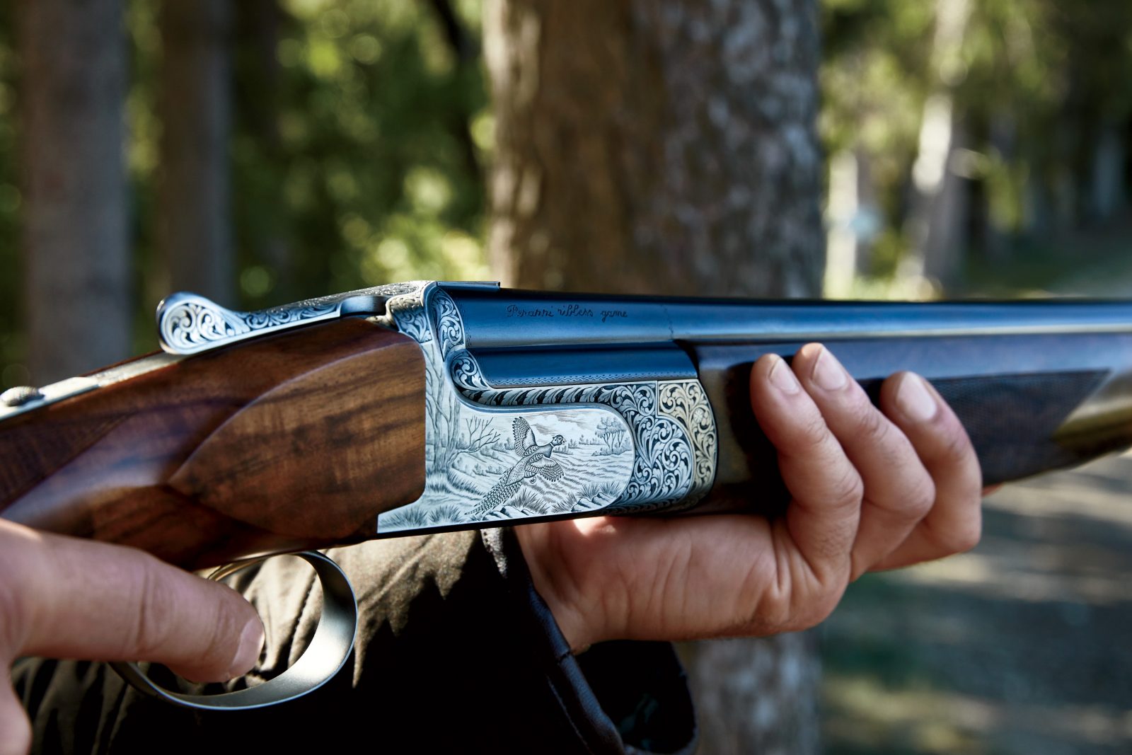 Pretty Sight – Garden & Gun