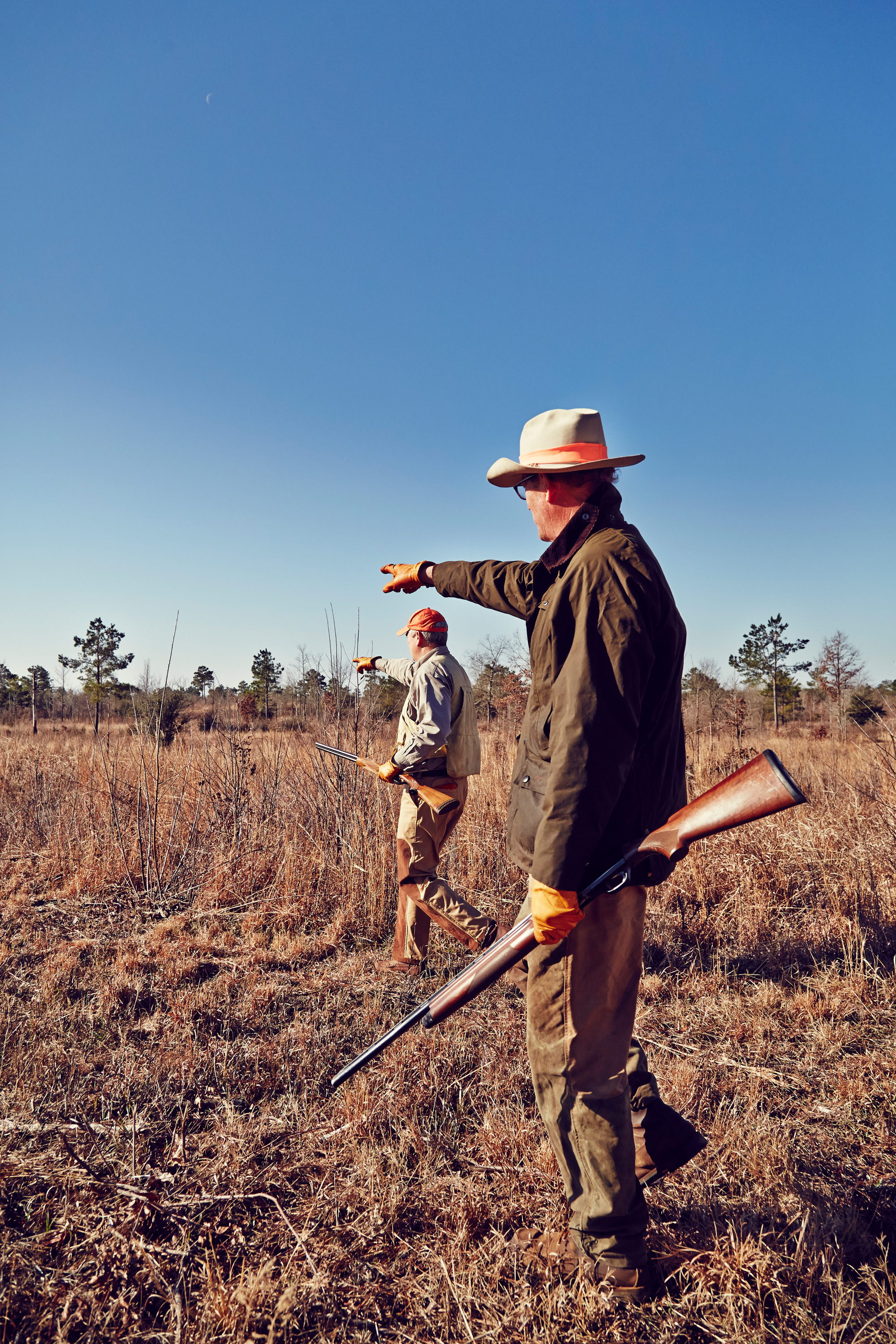 Four Principles: Creating a Quail Hunter's Paradise – Garden & Gun