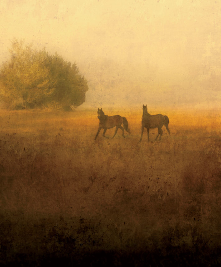 Jack Spencer Archives – Garden & Gun