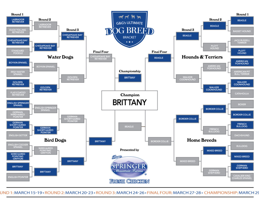 G&G's Ultimate Dog Breed Bracket – Garden & Gun
