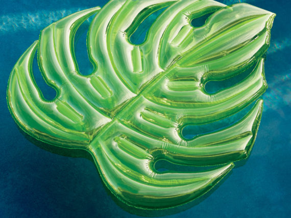 Garden & Gun | Official Website of Garden & Gun Magazine