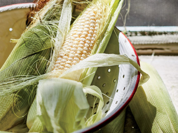 Garden & Gun | Official Website of Garden & Gun Magazine