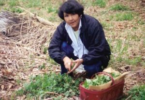 A Taste of ‘Cherokee Cooking’ – Garden & Gun