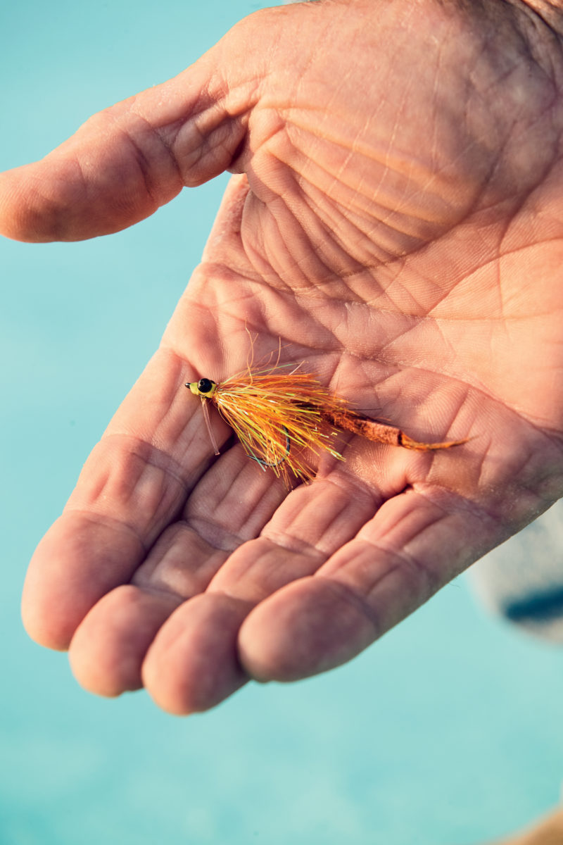 The Wild Zen of Flip Pallot – Garden & Gun