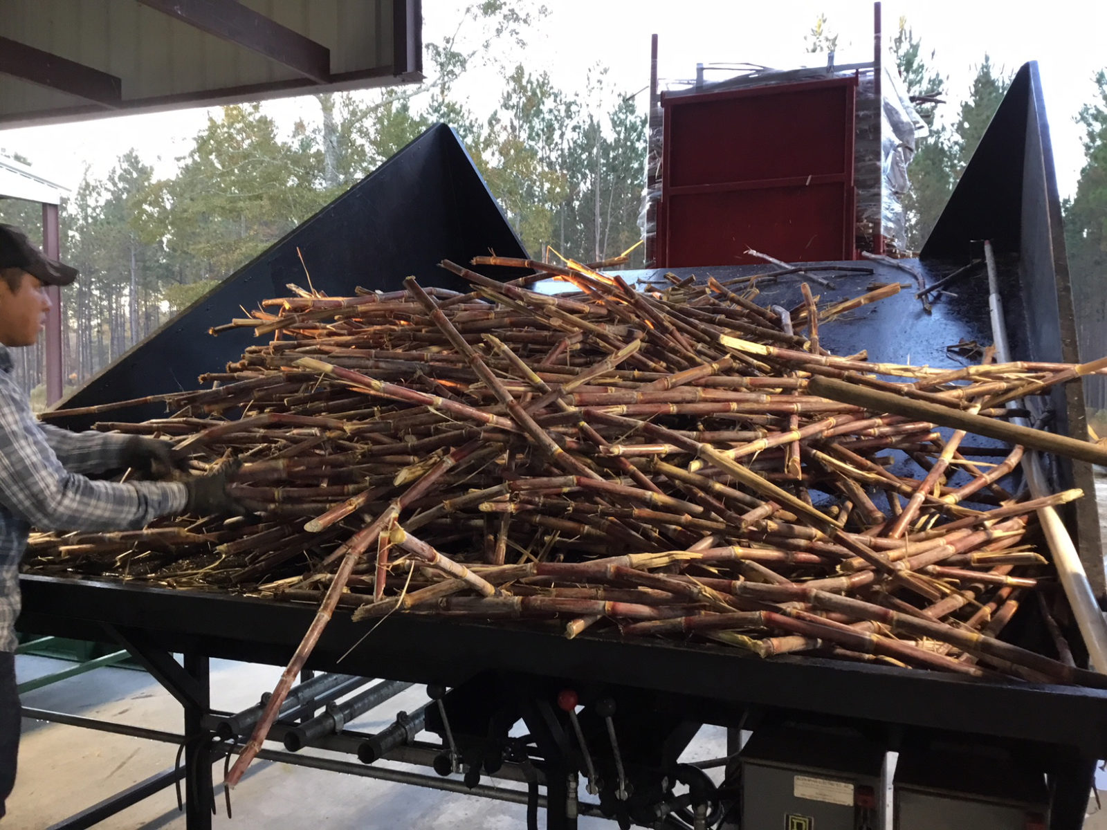 Reviving a Lost Cane Syrup – Garden & Gun