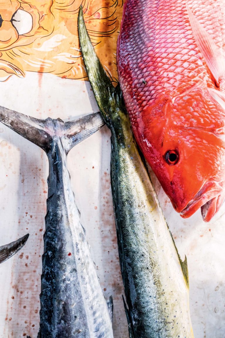 Inside the World's Largest Fishing Tournament – Garden & Gun