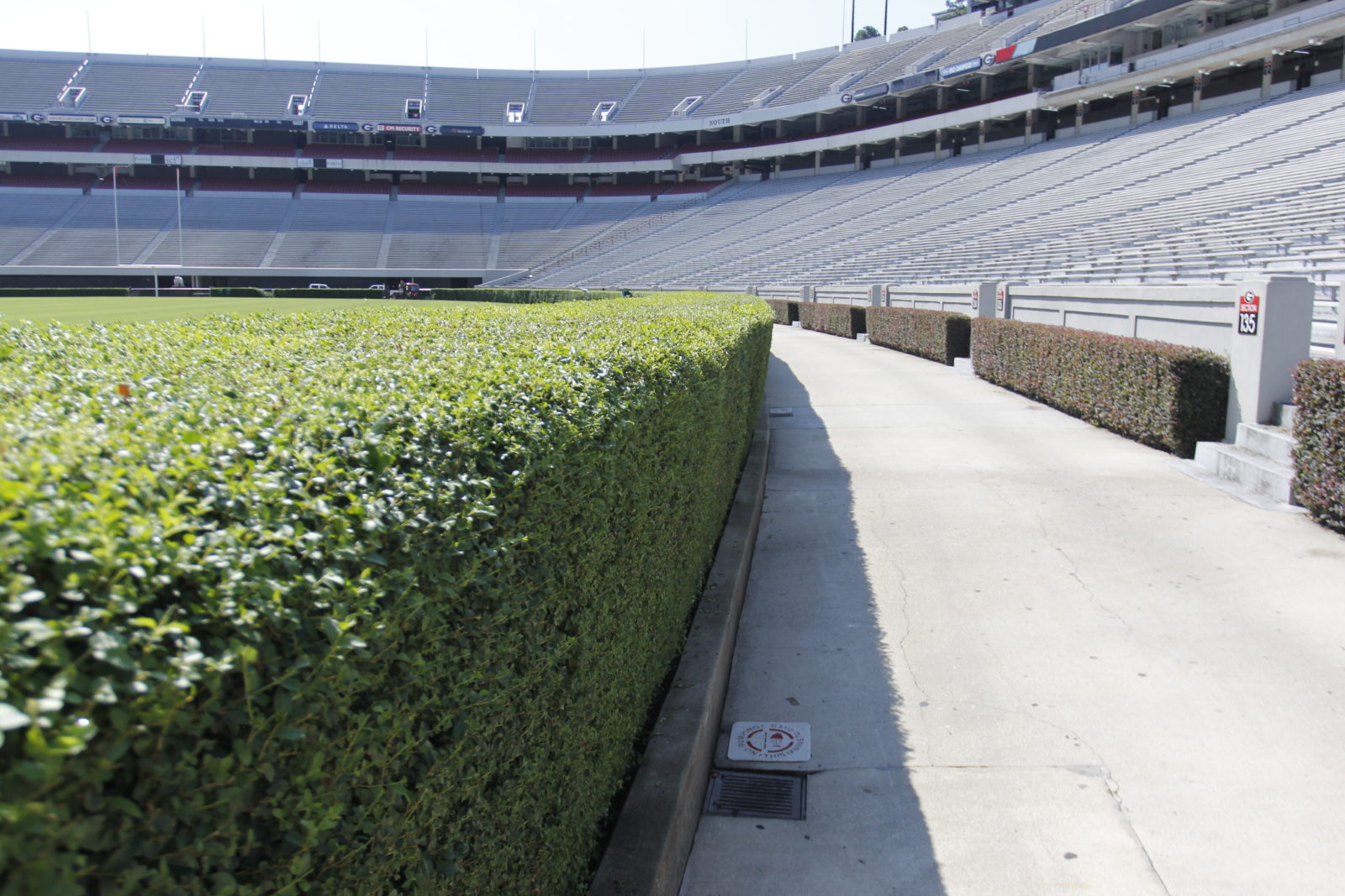 Go Between the Hedges: A Georgia Football Tradition – Garden & Gun
