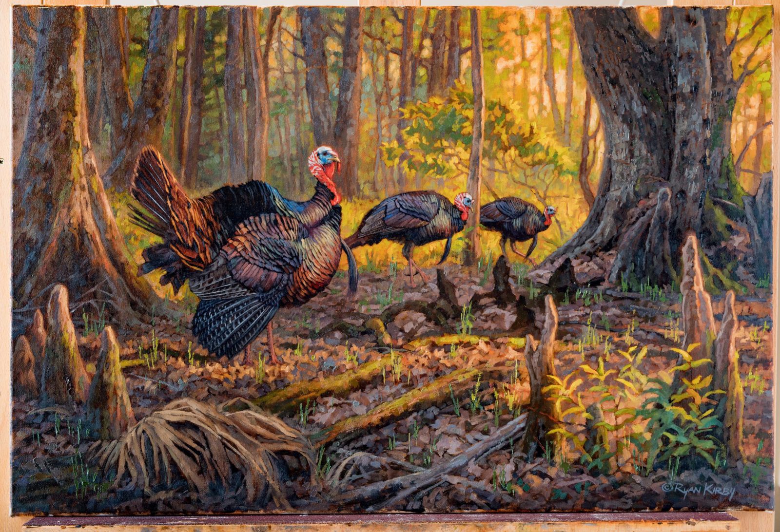 Ryan Kirby: The South's Next Great Wildlife Artist – Garden & Gun