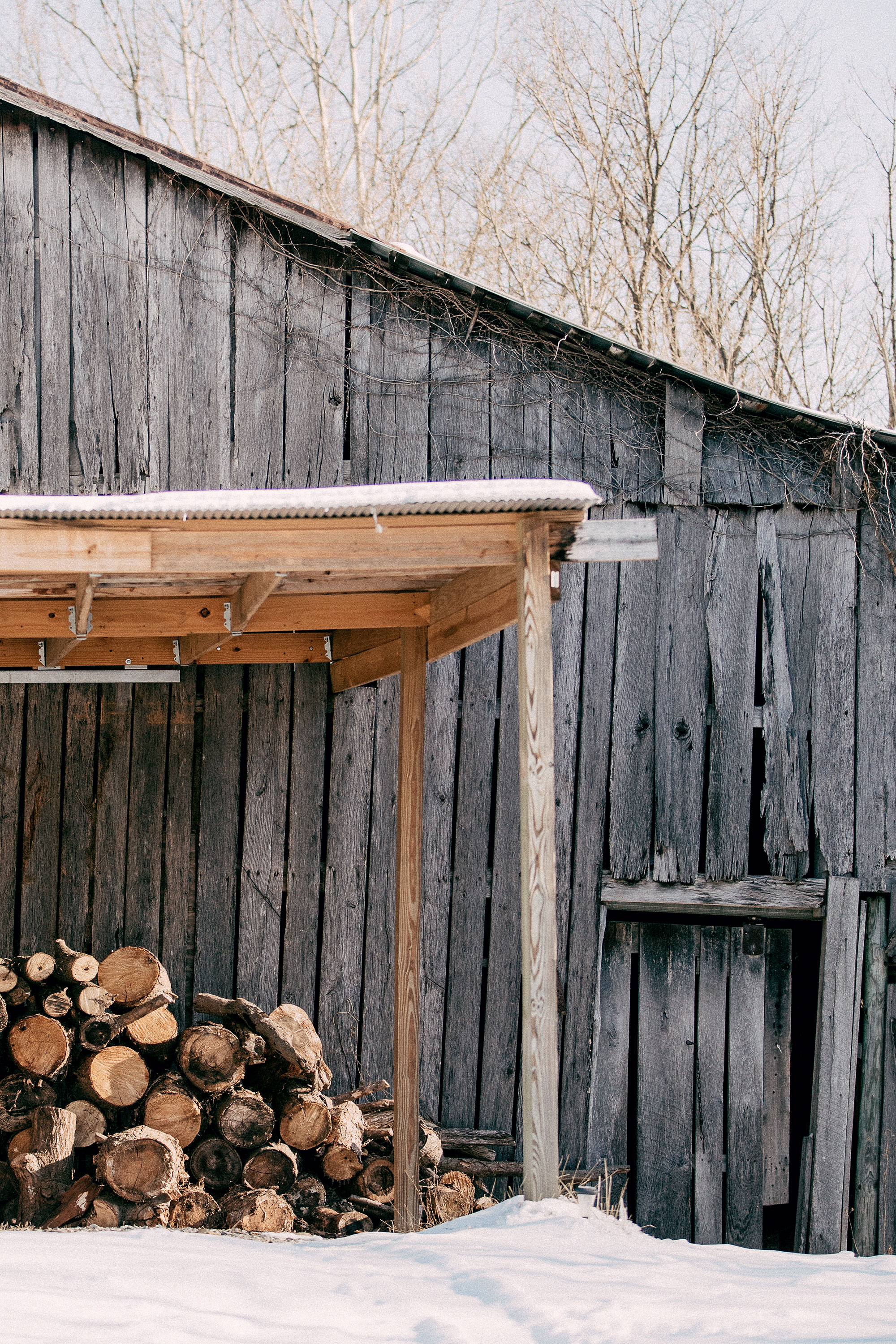 Poet Maurice Manning: A Voice in the Wilderness – Garden & Gun