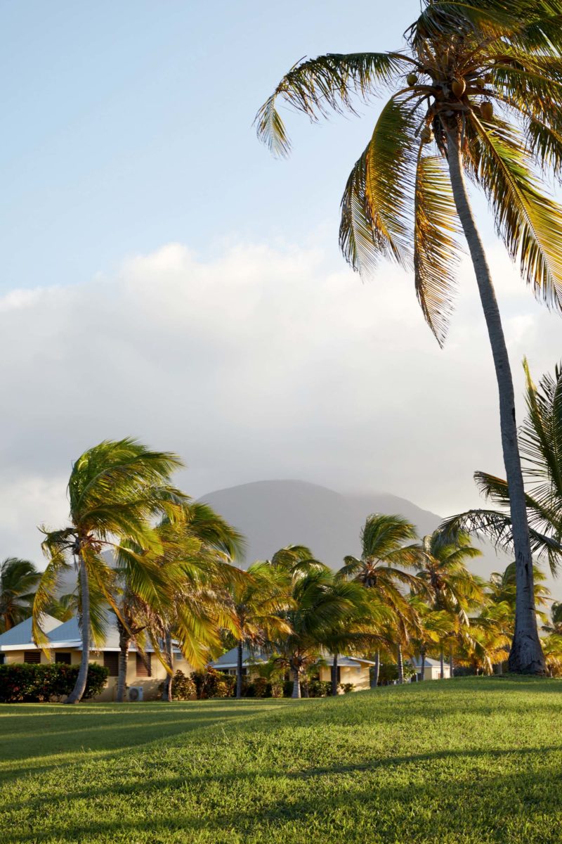 Nevis: A Hidden Caribbean Paradise – Garden & Gun