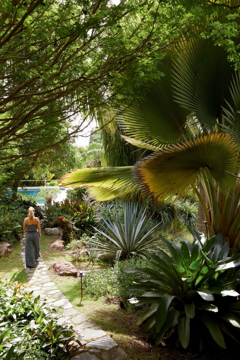 Nevis: A Hidden Caribbean Paradise – Garden & Gun