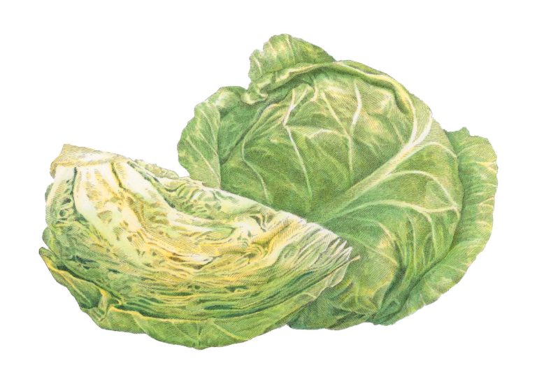 You Should Be Roasting Cabbage Whole – Garden & Gun