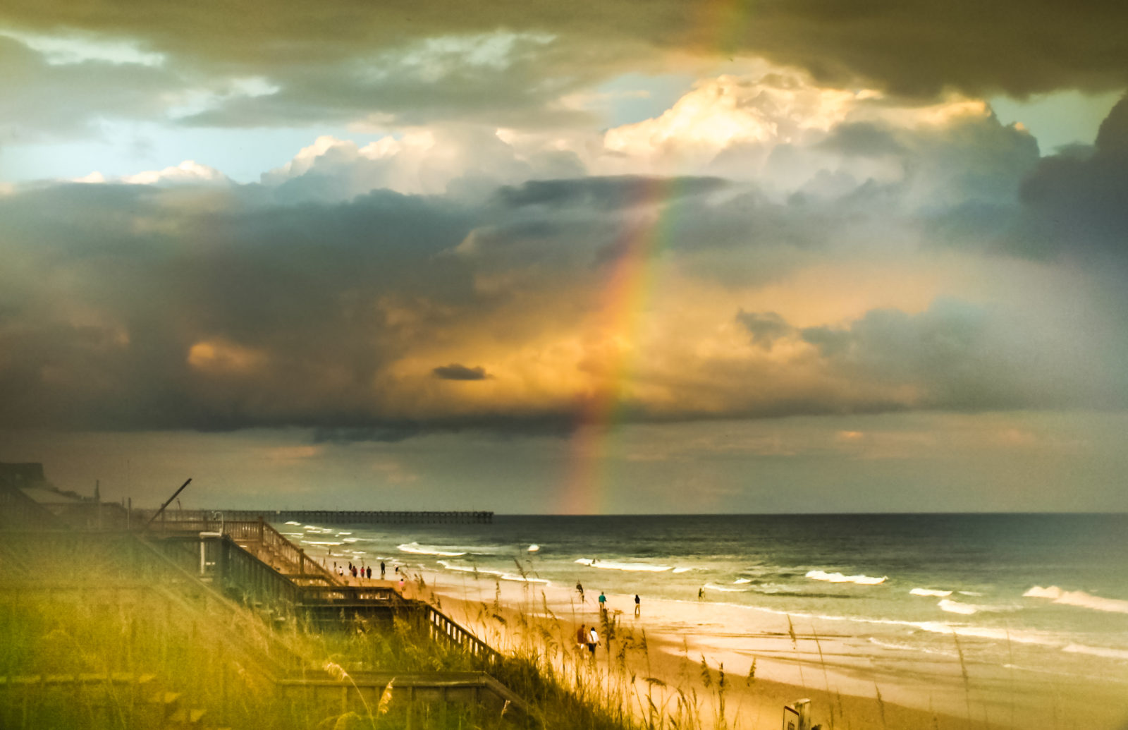 The Southern Allure of Topsail Island – Garden & Gun