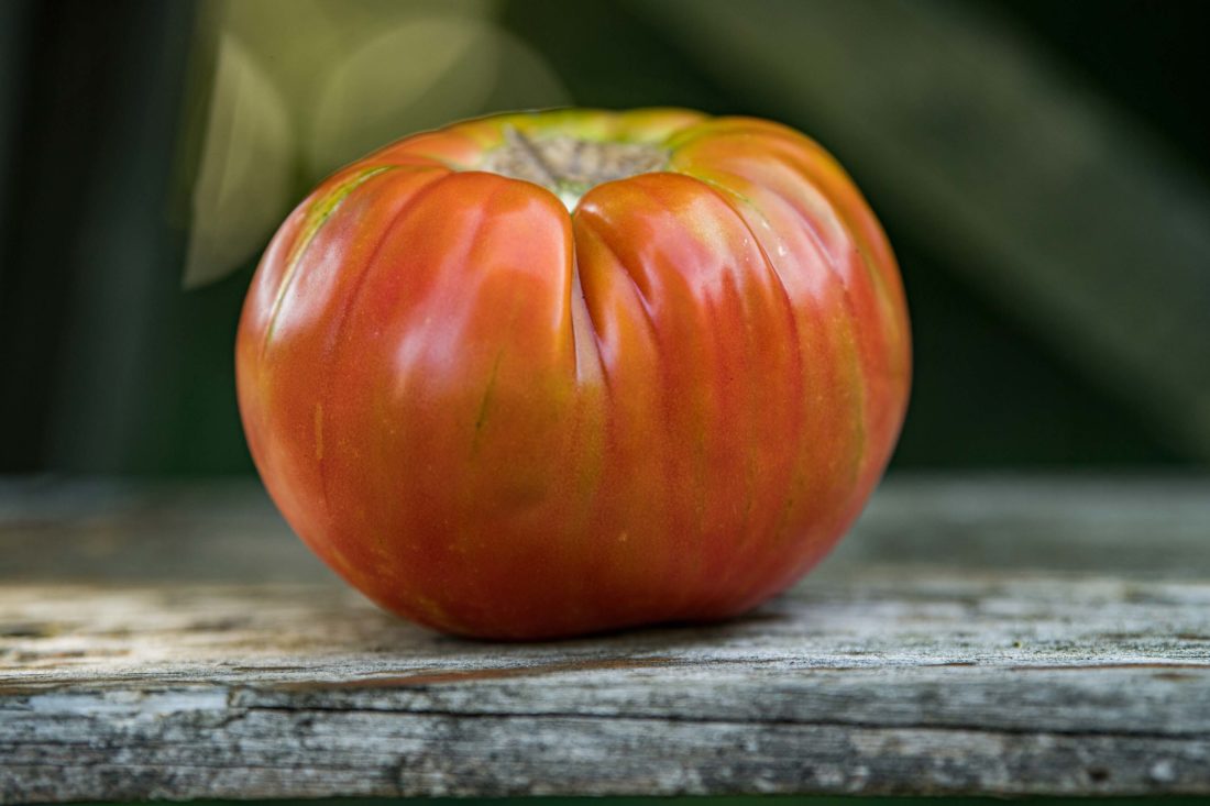 Secrets of a Southern Tomato Garden – Garden & Gun