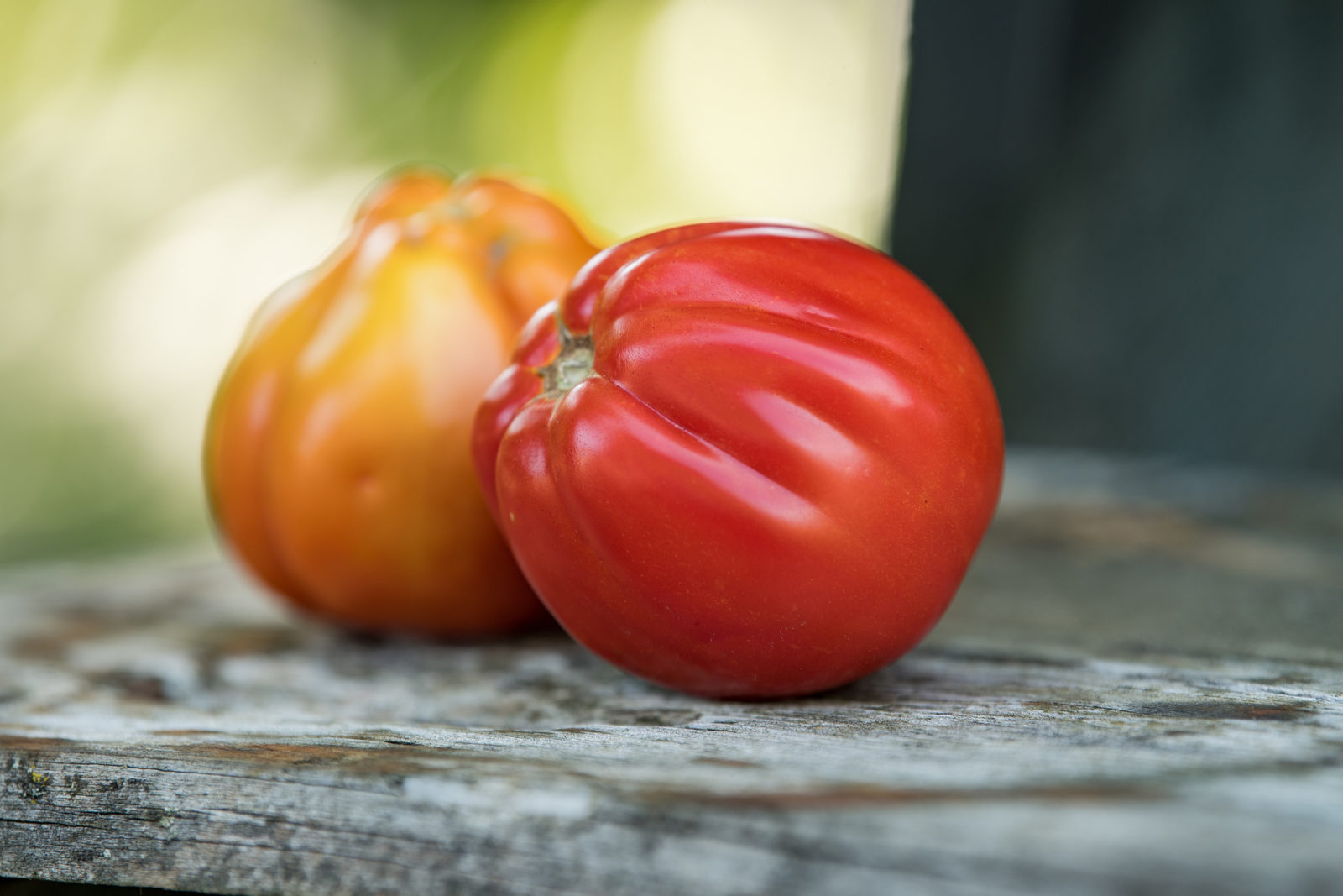 Secrets of a Southern Tomato Garden – Garden & Gun