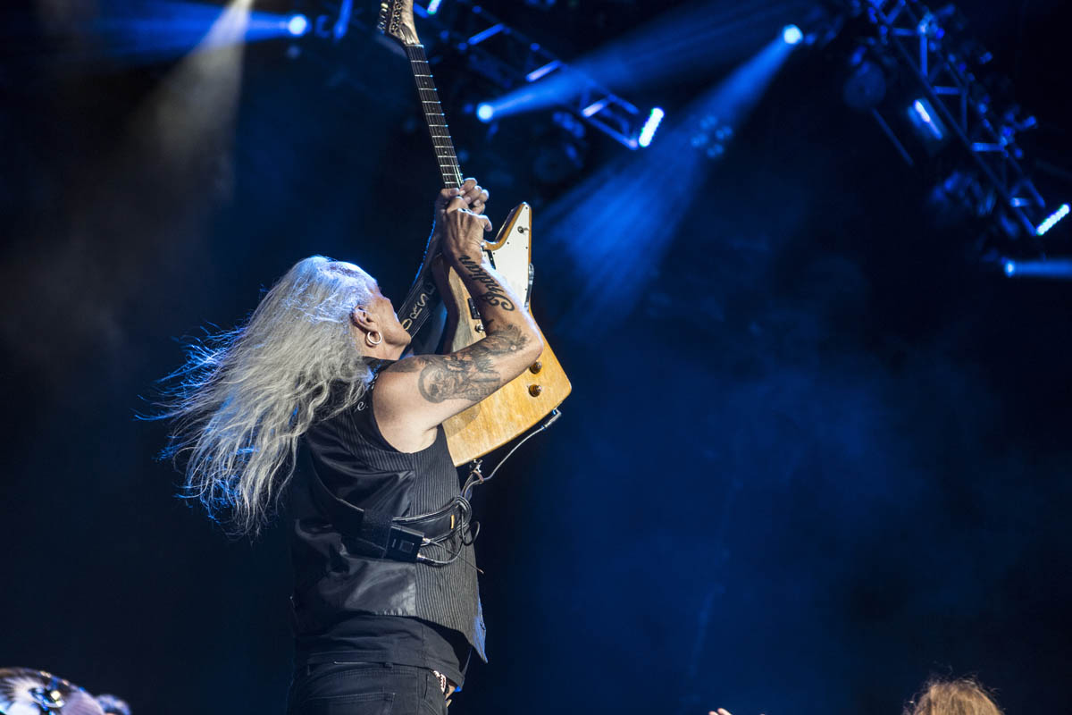 An Oral History of “Free Bird” – Garden & Gun