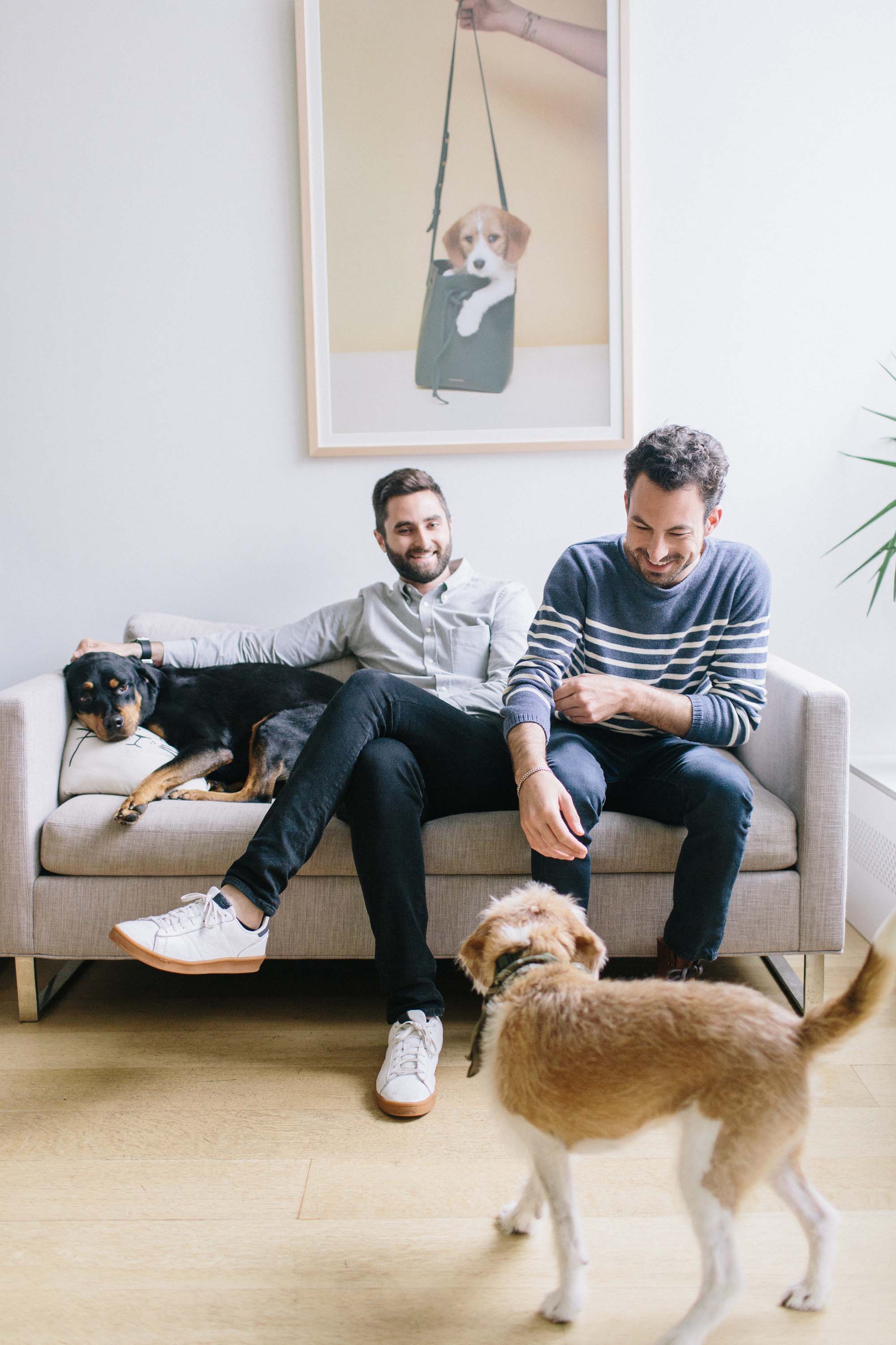 The Simple Magic of Fresh Dog Food – Garden & Gun