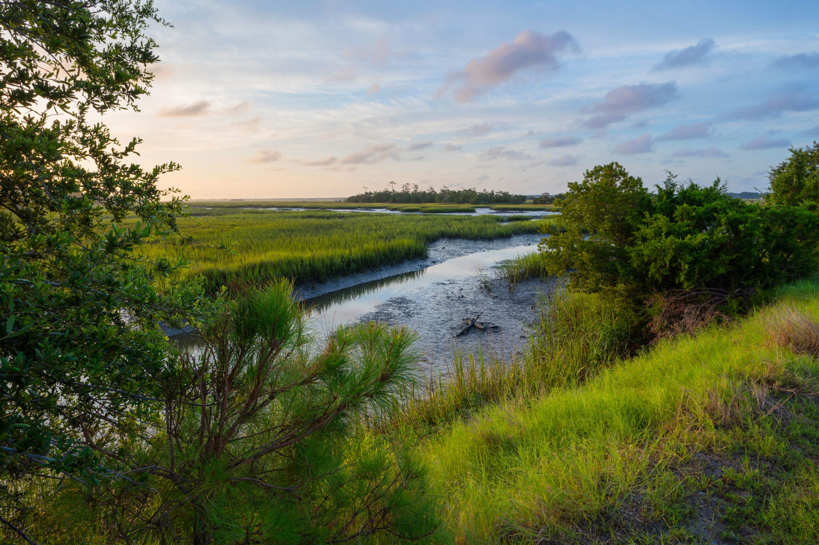 Rivers In Charleston Sc Pin by Amber Bryant on Charleston, SC ...