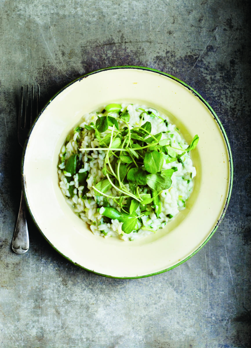 Pea Shoot Risotto – Garden & Gun