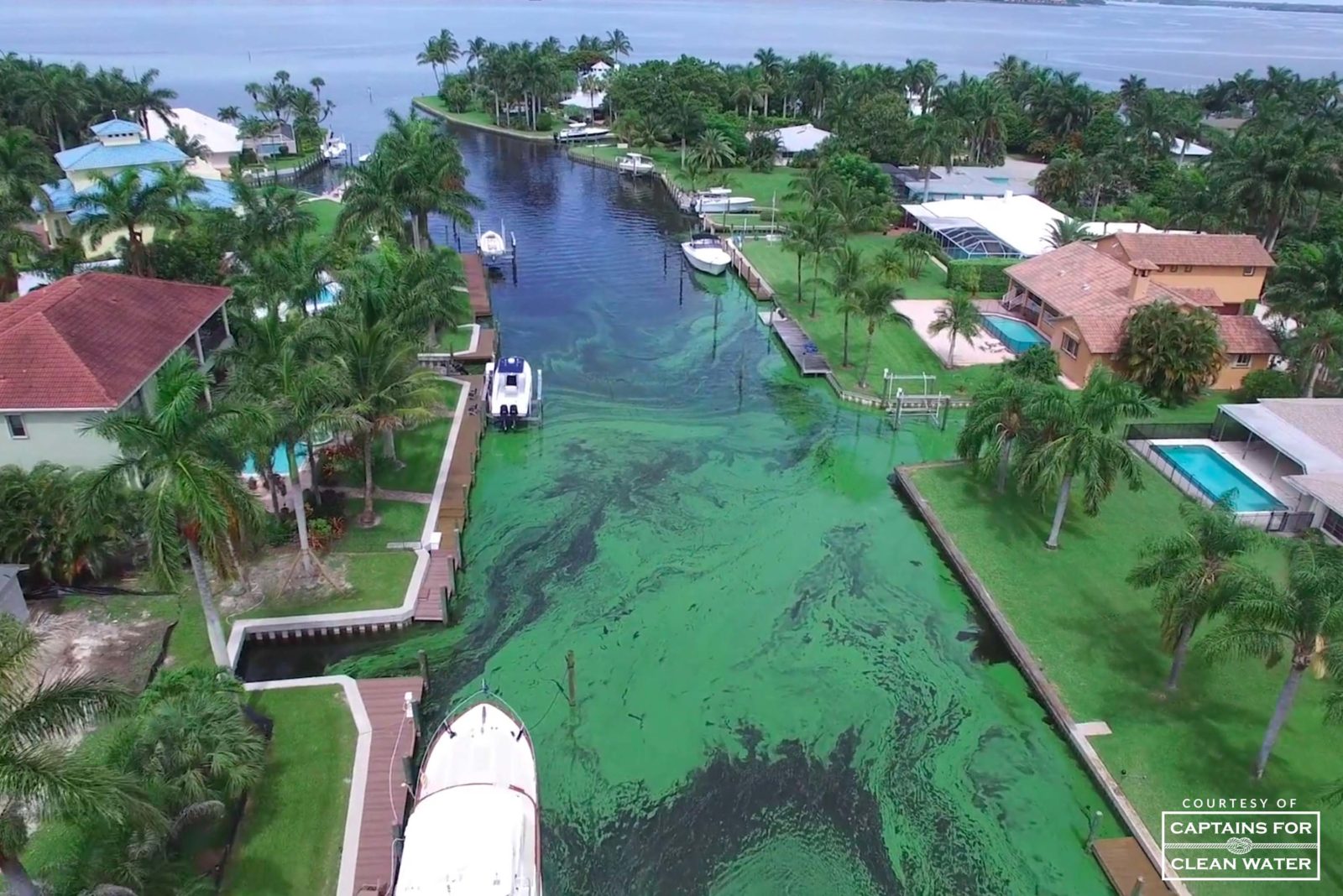 The Grassroots Impact of Captains For Clean Water – Garden & Gun