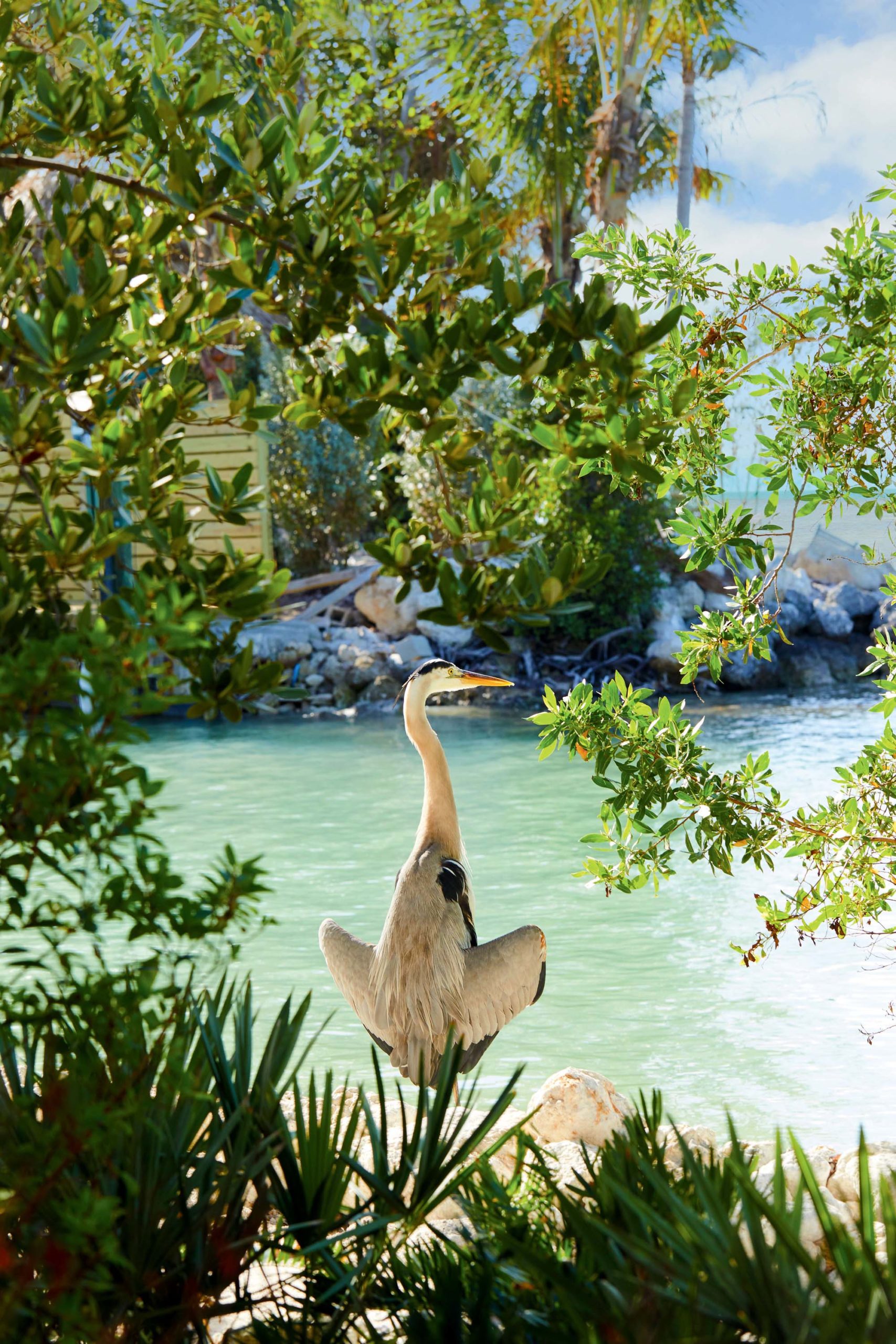 A Blissful Florida Keys Sanctuary – Garden & Gun