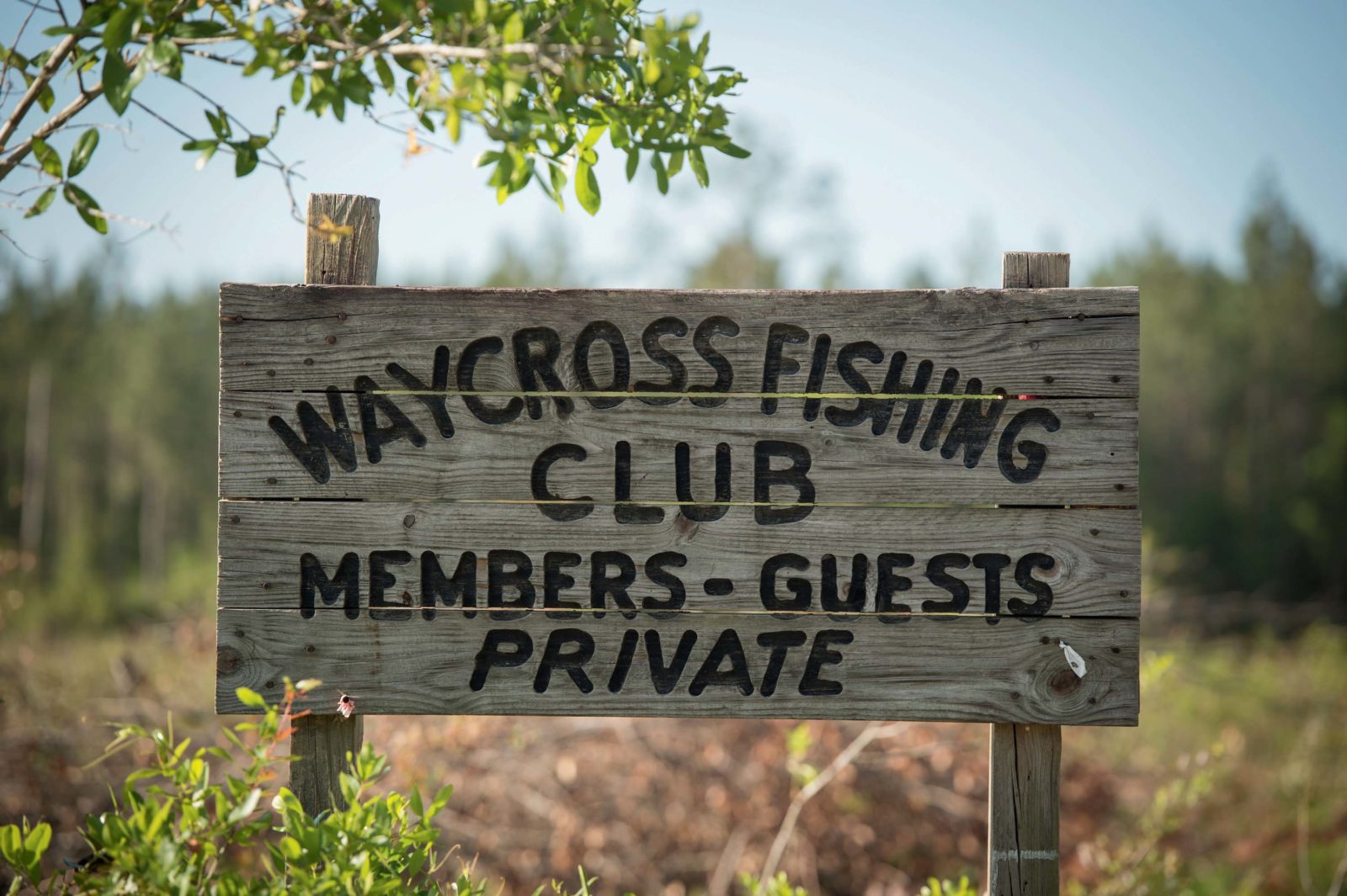 Fishing Georgia's Satilla River – Garden & Gun