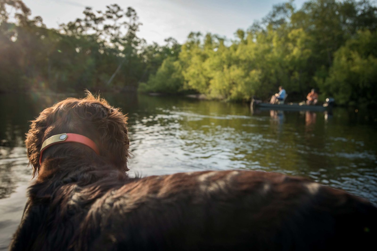 Fishing Georgia's Satilla River – Garden & Gun