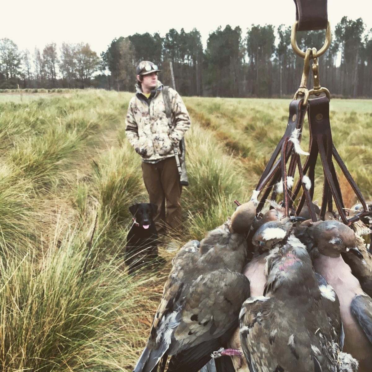 Three Rules for the Dove Field – Garden & Gun