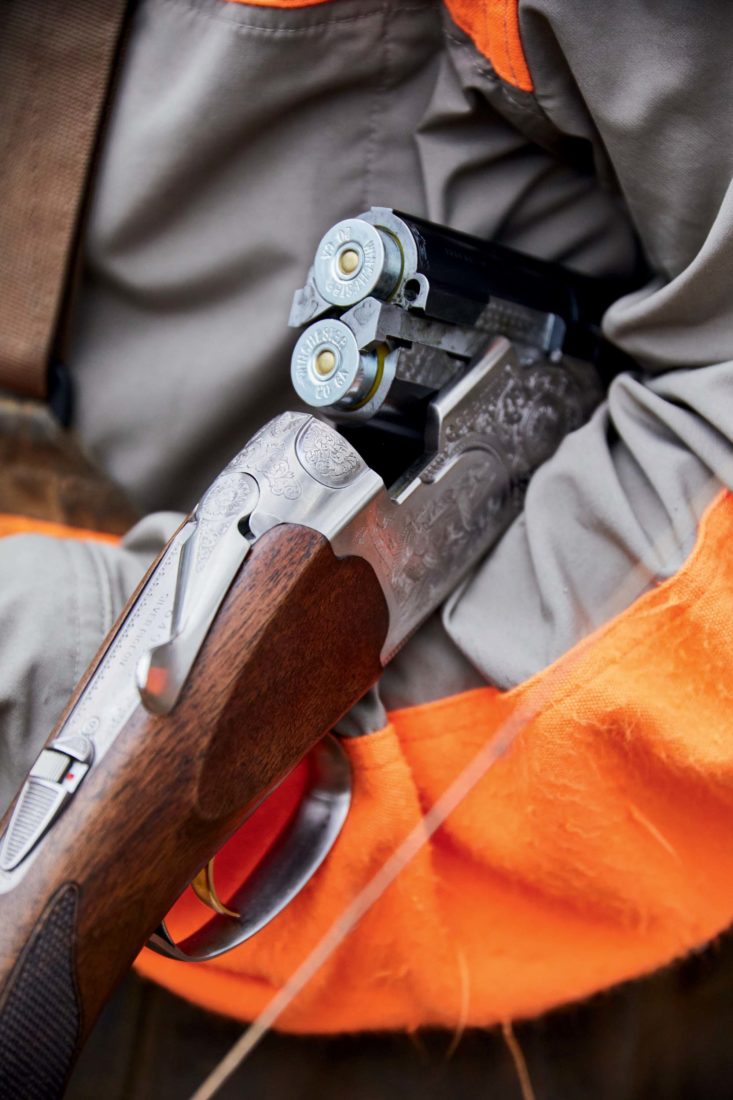 A Coastal Plain Quail Retreat – Garden & Gun