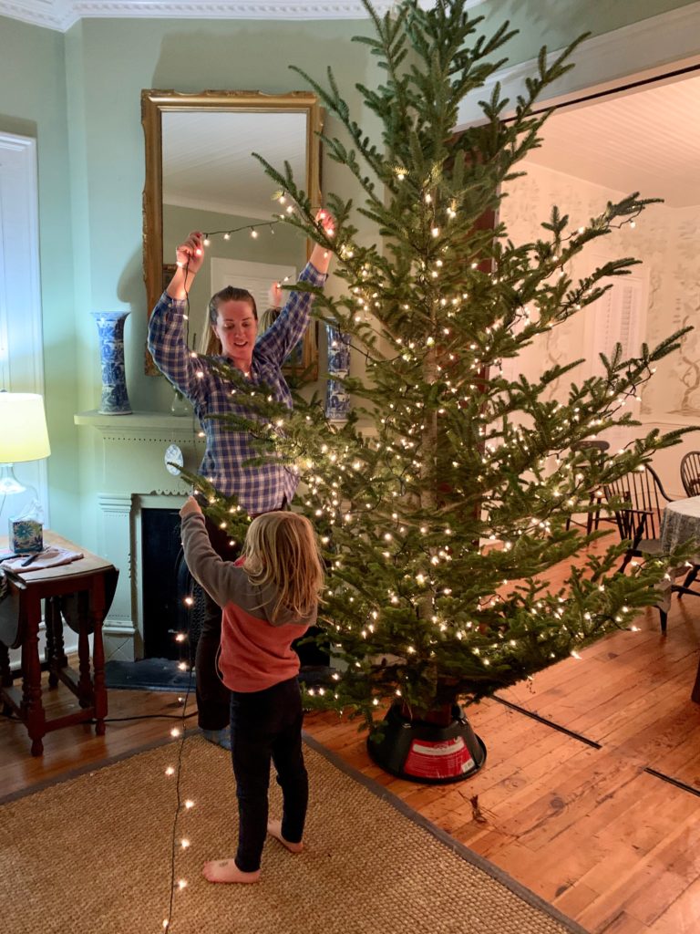 In Defense of the Scraggle Tree – Garden & Gun