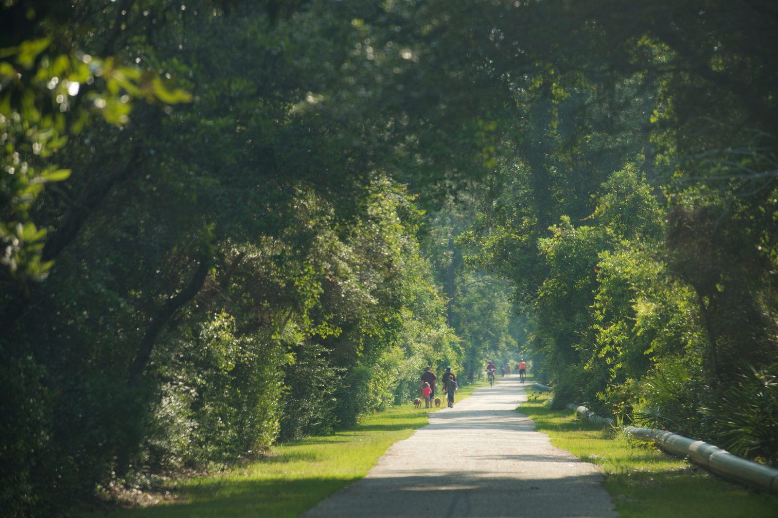 A Sunny Oasis on the Alabama Coast – Garden & Gun