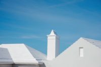 A Tour of Bermuda's Wild Side – Garden & Gun