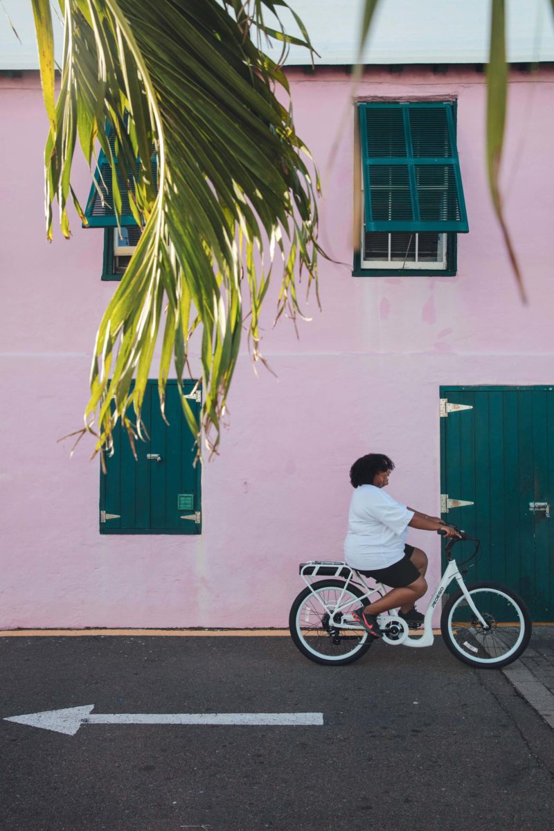 A Tour of Bermuda's Wild Side – Garden & Gun