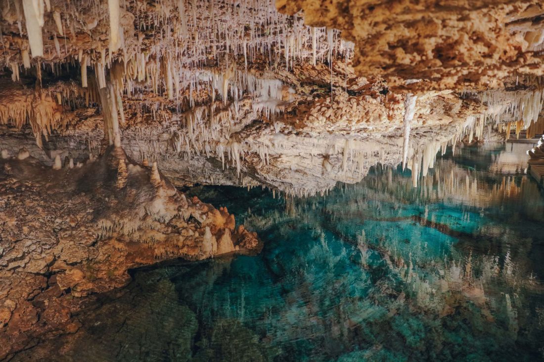 A Tour of Bermuda's Wild Side – Garden & Gun